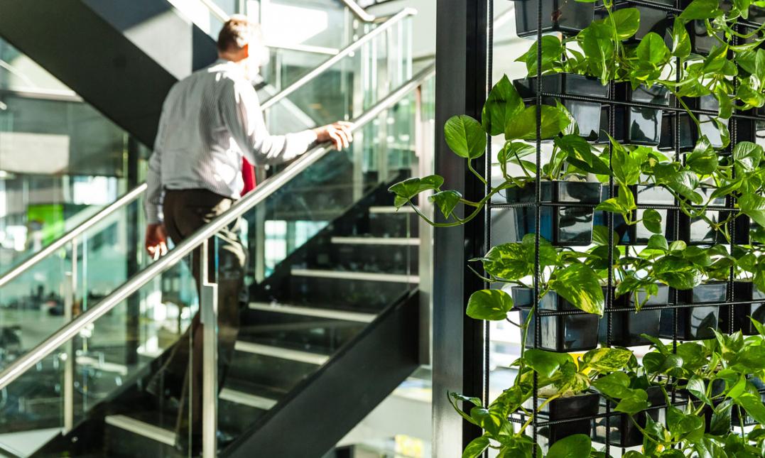 655 Collins Street | GPT